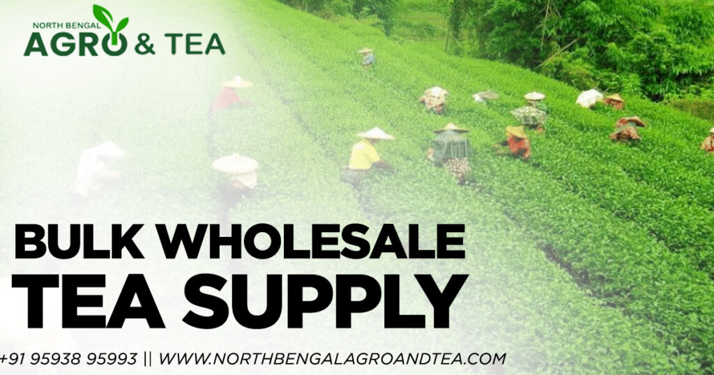 The Enchanting World of Bulk Wholesale Tea Supply in India