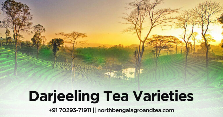 Darjeeling Tea Varieties: Exploring the Different Flavors and ...