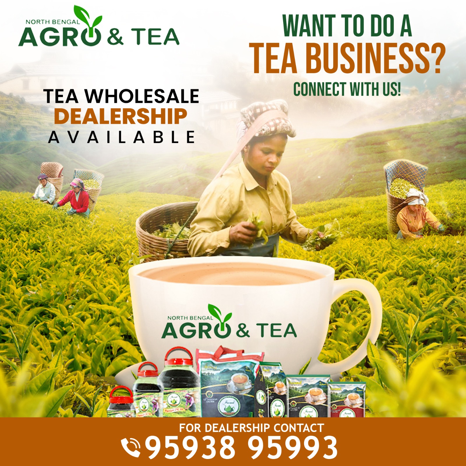 Best Tea Wholesalers in Siliguri - Why Choose Us?